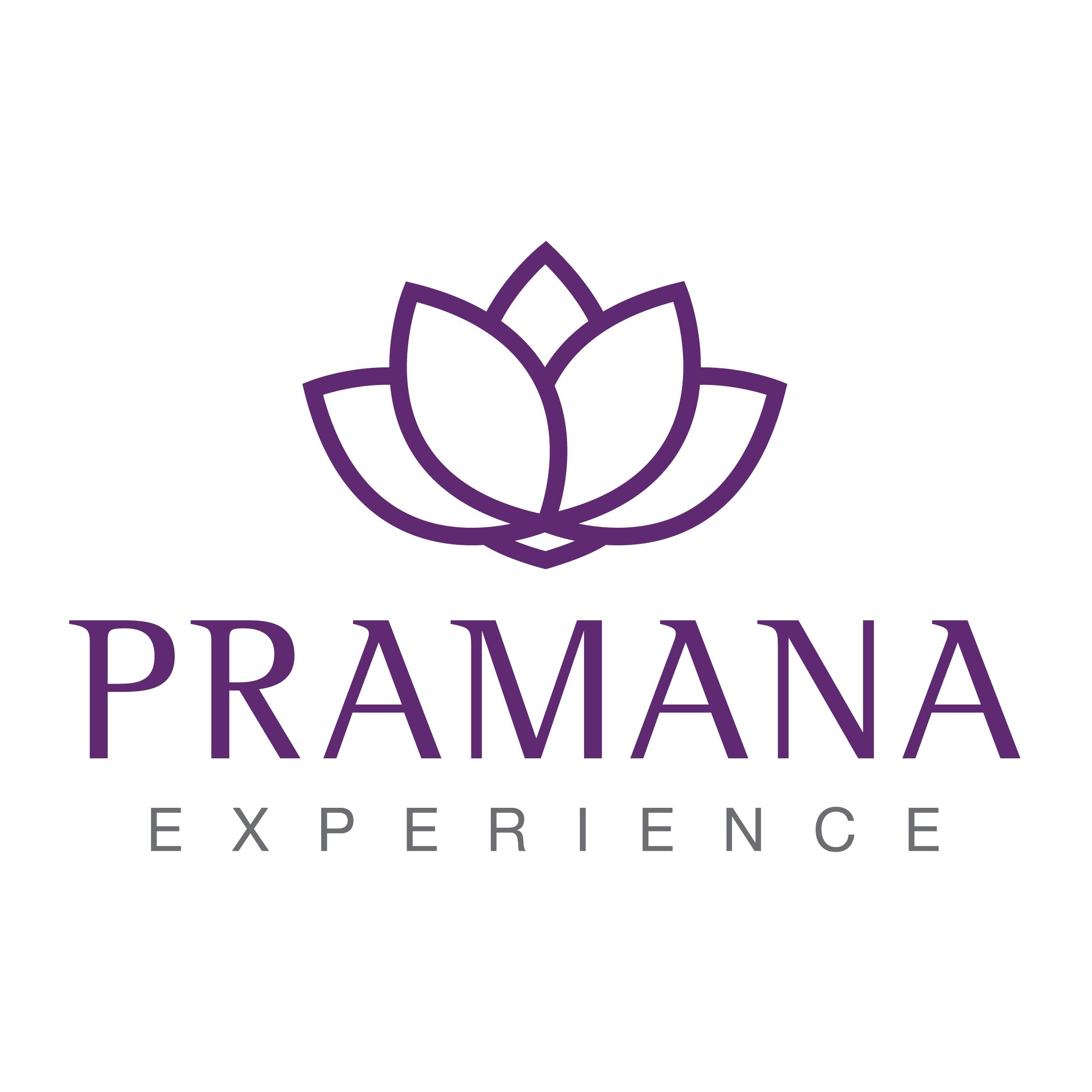 Pramana Experience