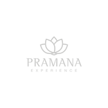 Pramana Experience